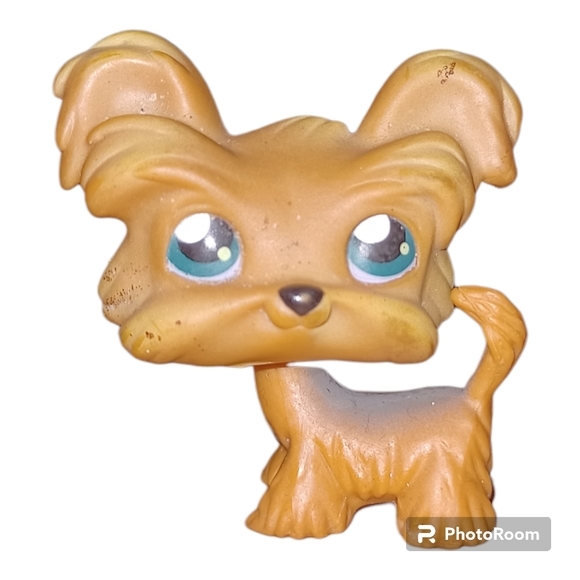 Hasbro | Toys | Littlest Pet Shop Lps 6 Brown Yorkie Shih Tzu Puppy Dog ...